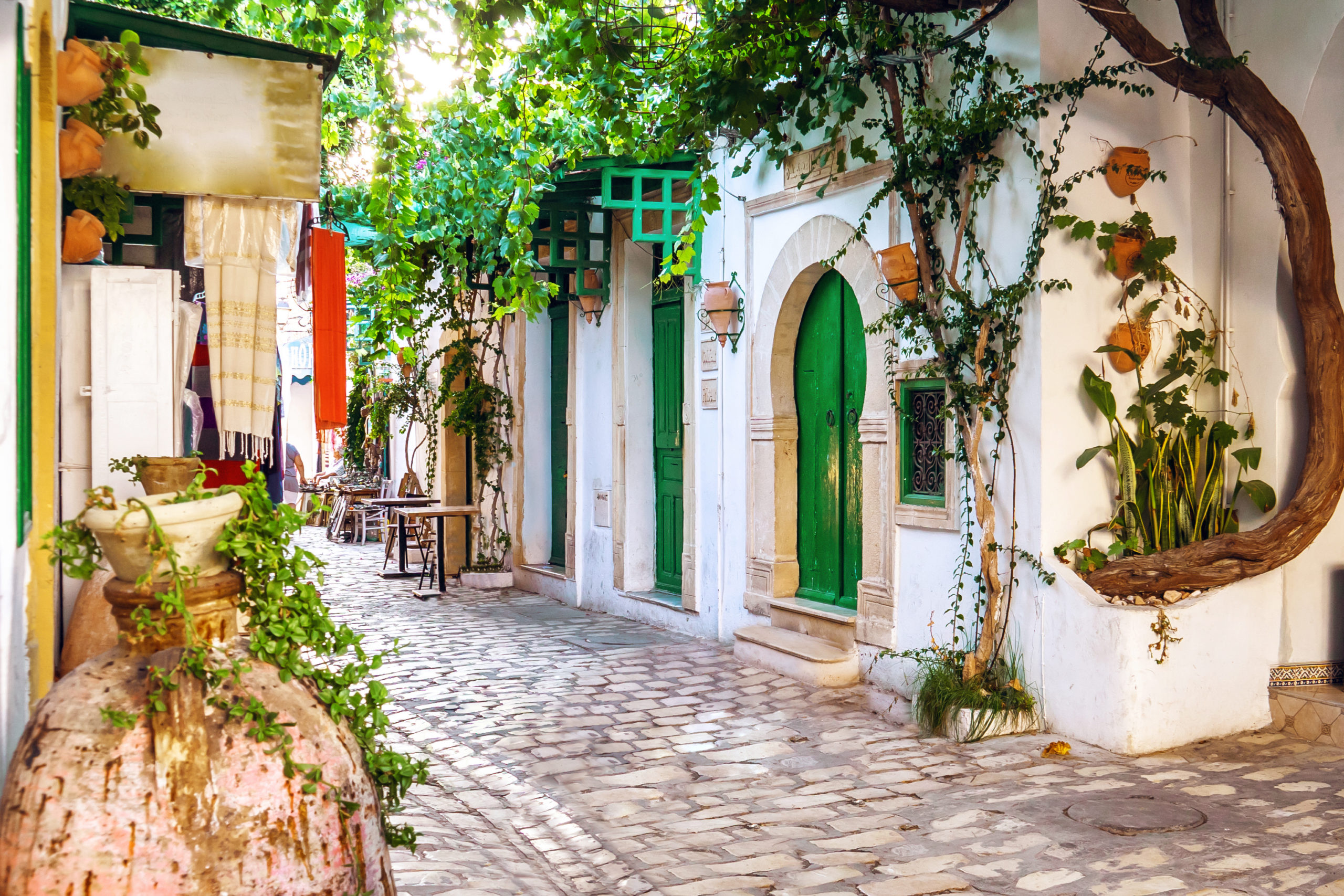One of beautiful streets of medina in Mahdia. Tunisia | InsideFlyer DK
