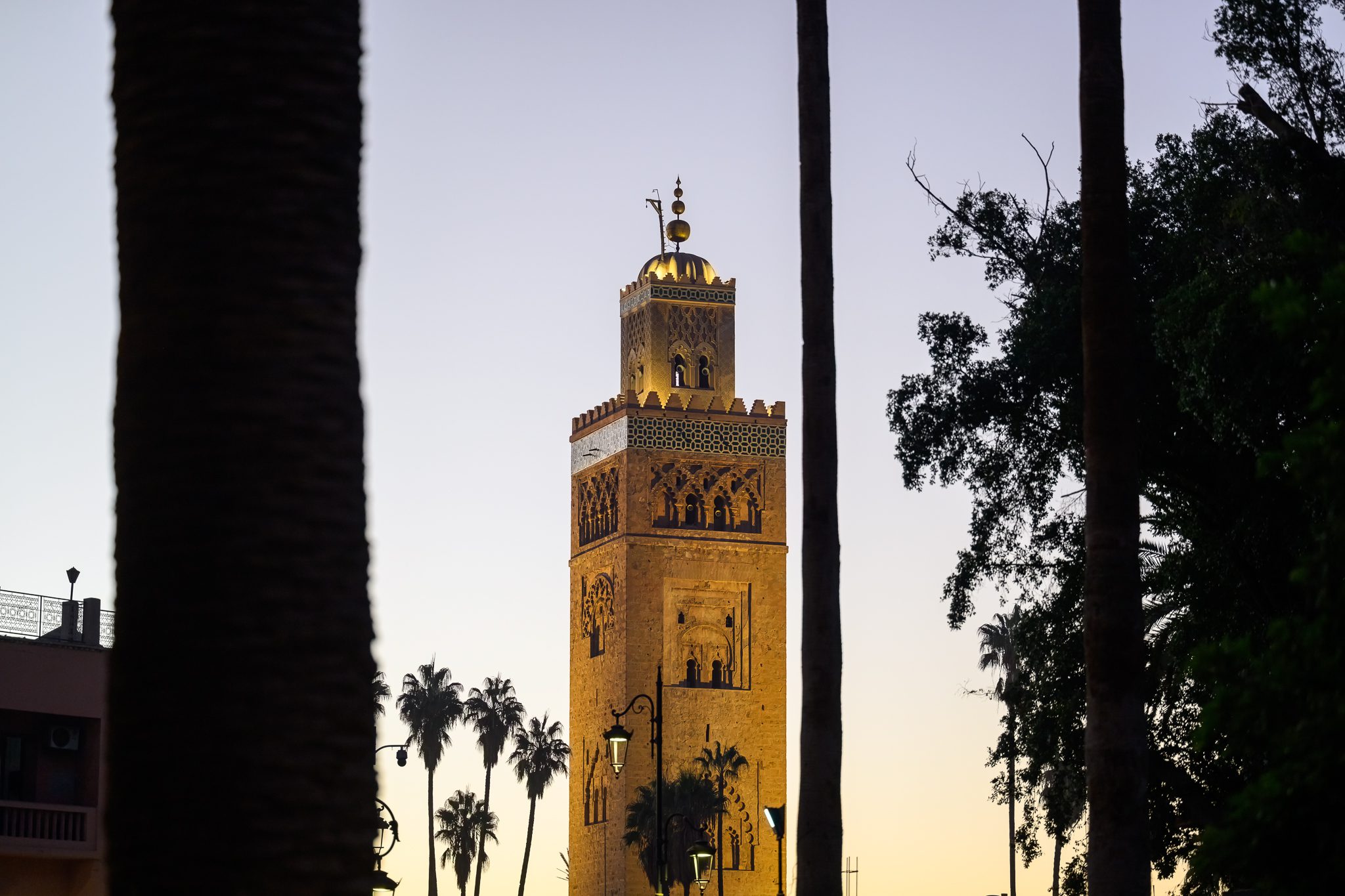 Destination Marrakech-5705 | InsideFlyer DK